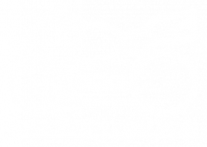 PRG Performance – Brilliant Motorbike Dealership